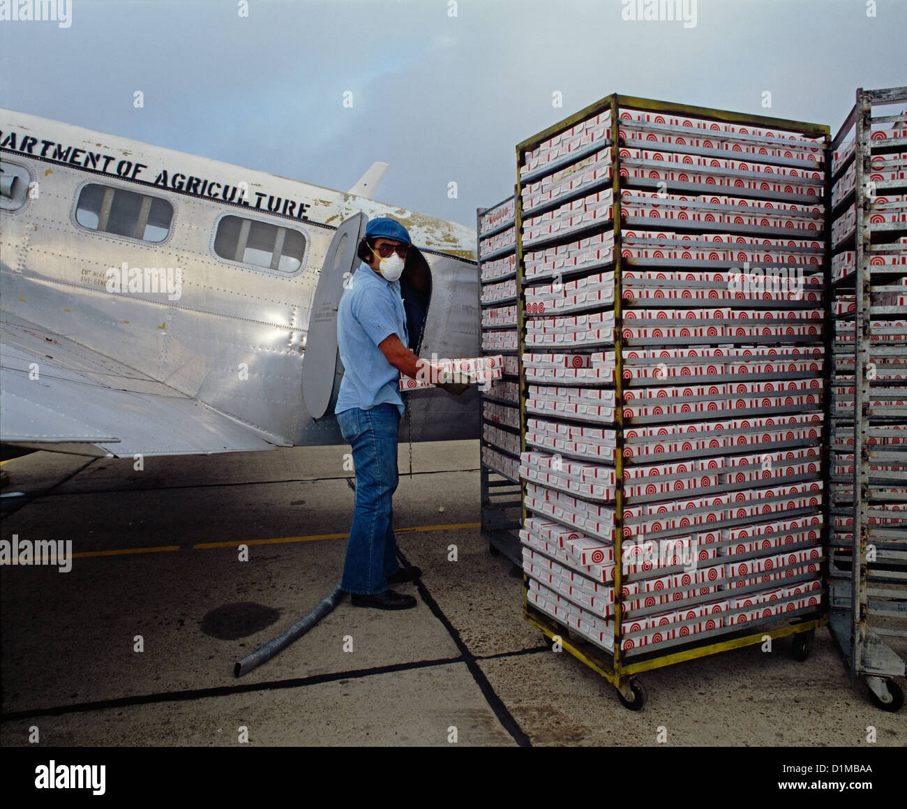 Screwworm hi-res stock photography and images - Alamy