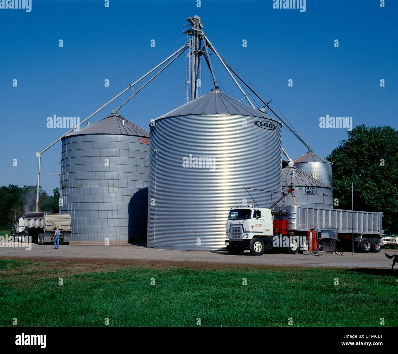LOADING GRAIN INTO TRUCK FROM ON FARM STORAGE / MARYLAND Stock Photo ...
