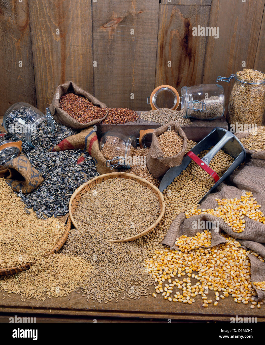 VARIOUS GRAINS / STUDIO Stock Photo - Alamy