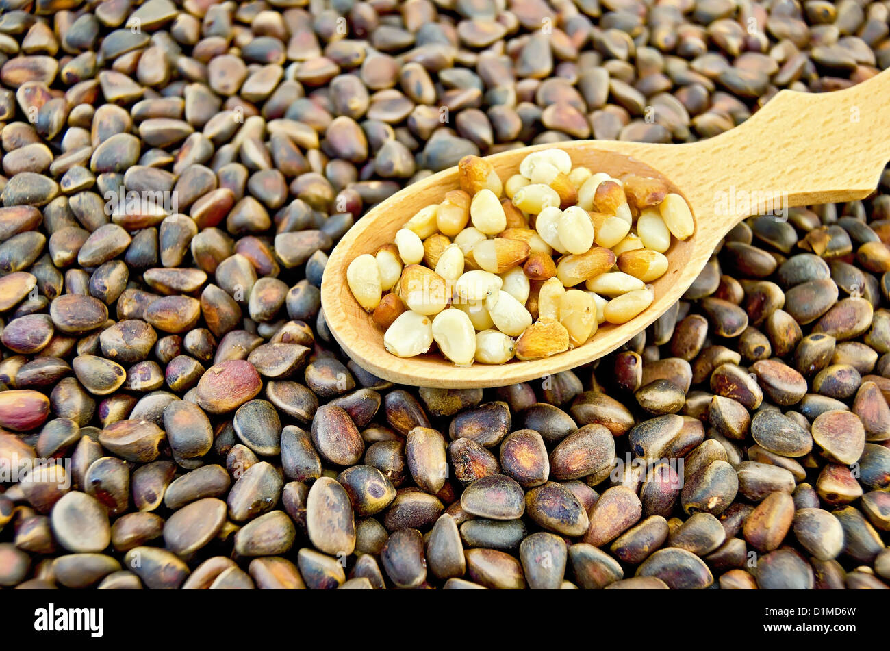 Cedar nuts in a spoon against Stock Photo - Alamy