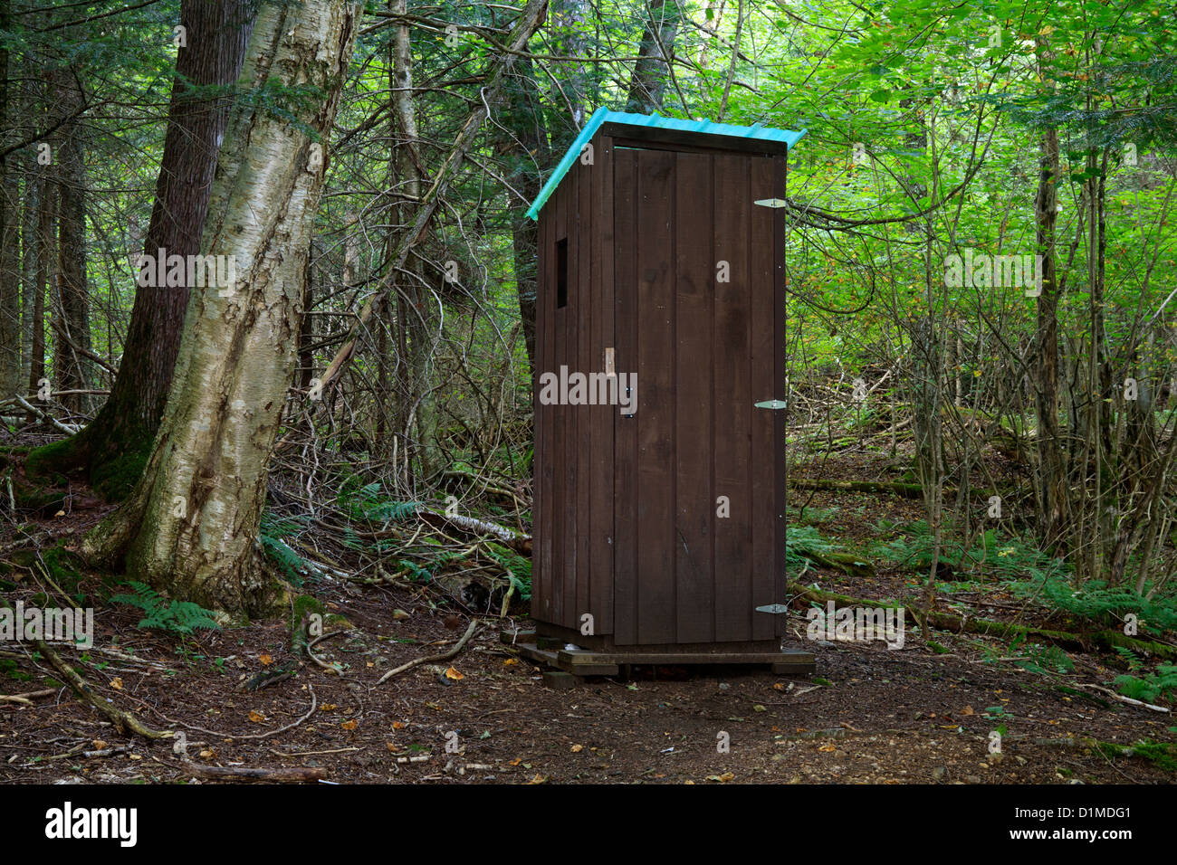 Outhouse in the woods Stock Photo - Alamy
