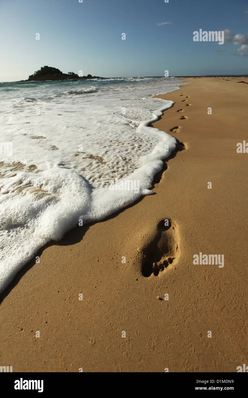 One set of human footprints in the wet sand on a deserted beach in the ...