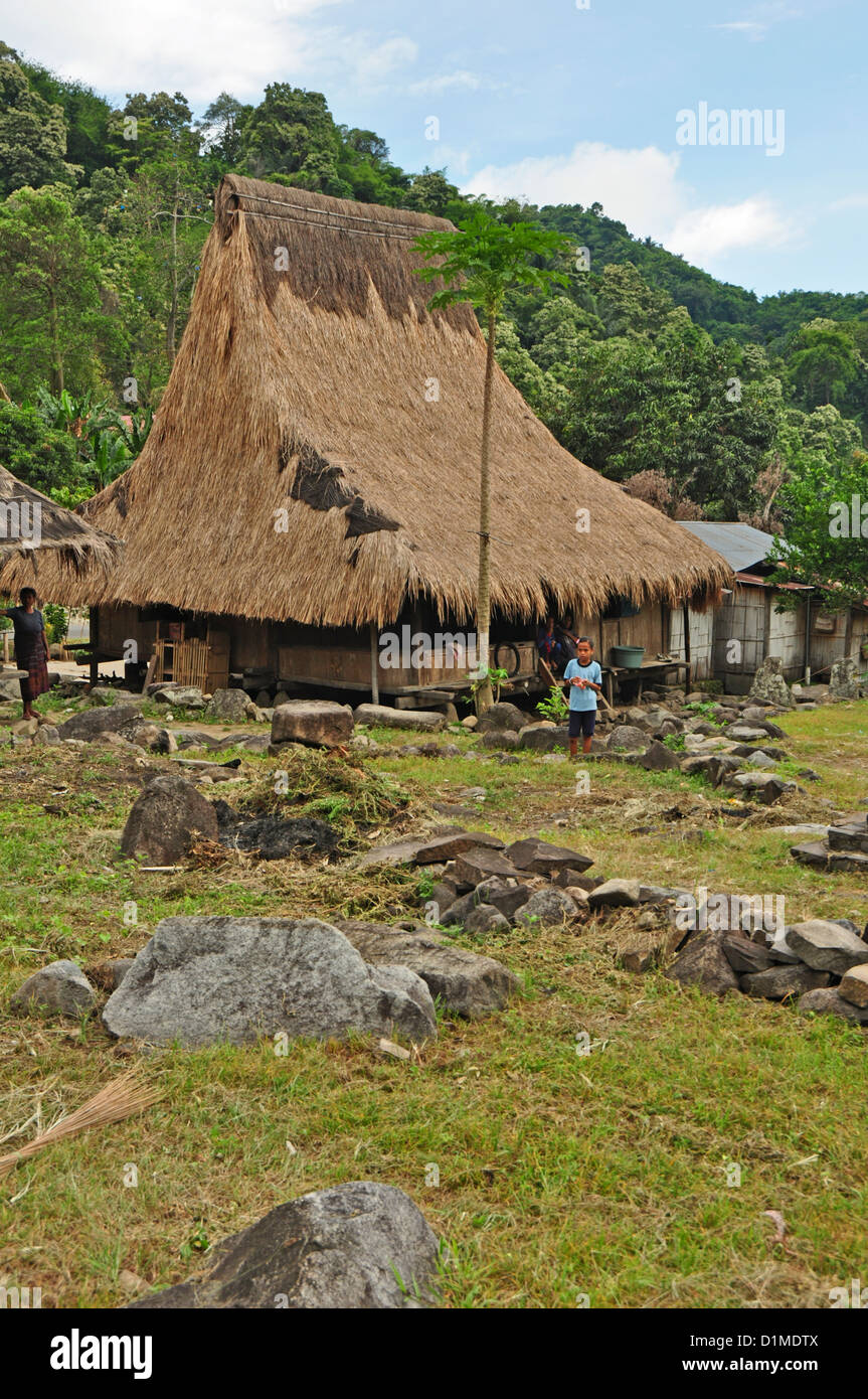 INDONESIA, Flores, Wolowaru, traditional Indonesian buildings with high ...