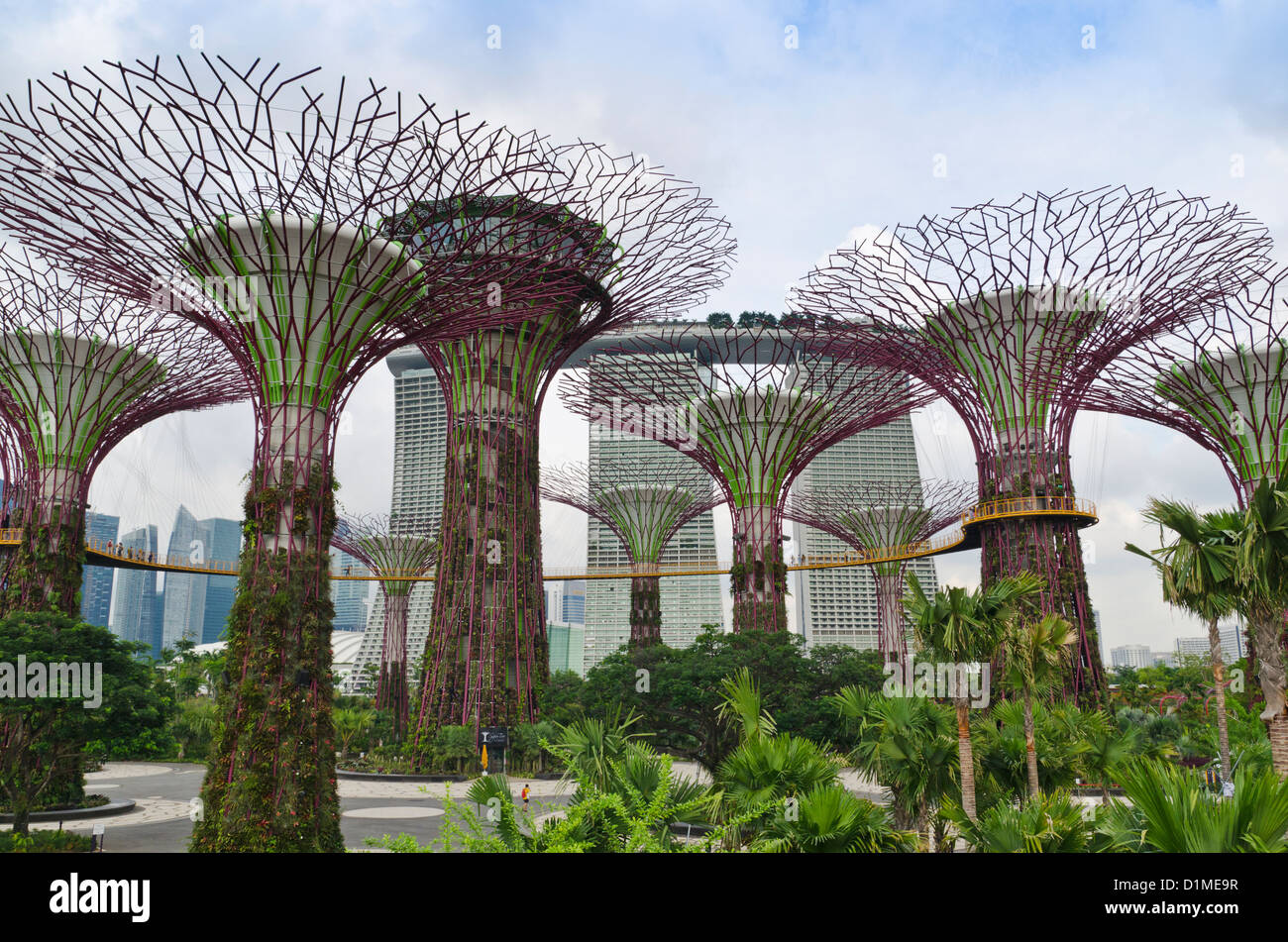 Singapore supertree hi-res stock photography and images - Alamy