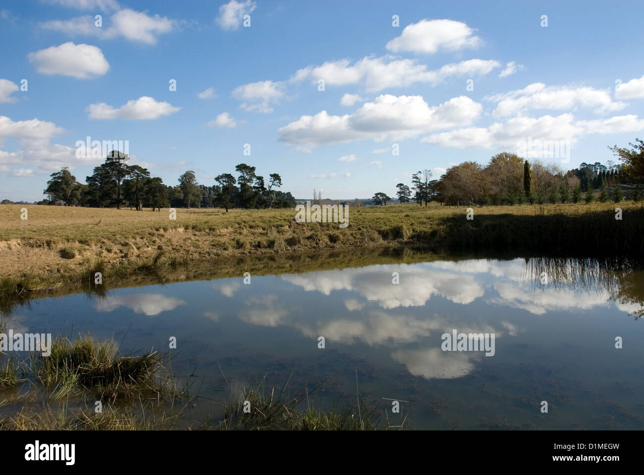 Farm dam hi-res stock photography and images - Alamy