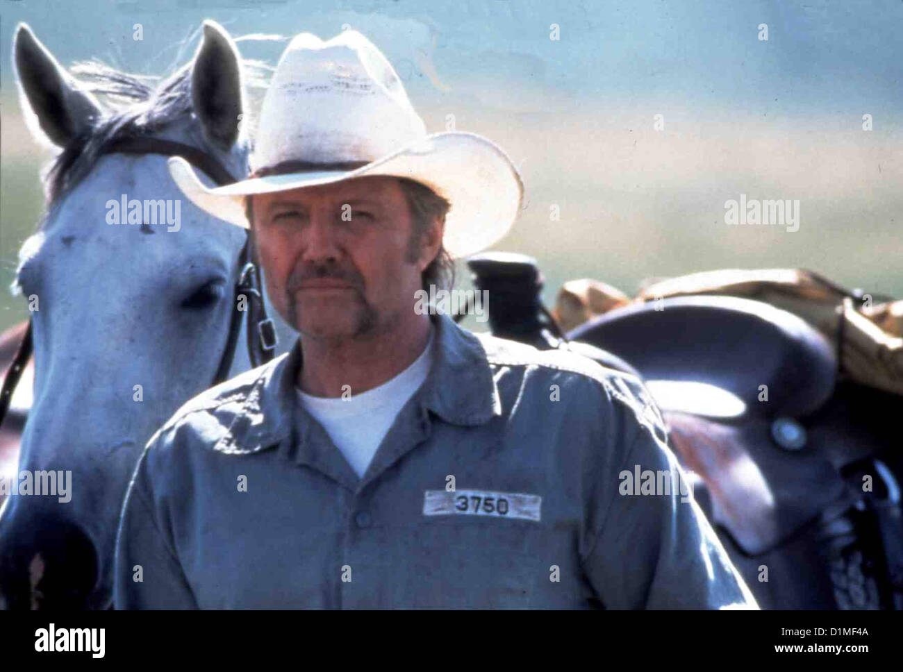 Convict cowboy jon voight hi-res stock photography and images - Alamy