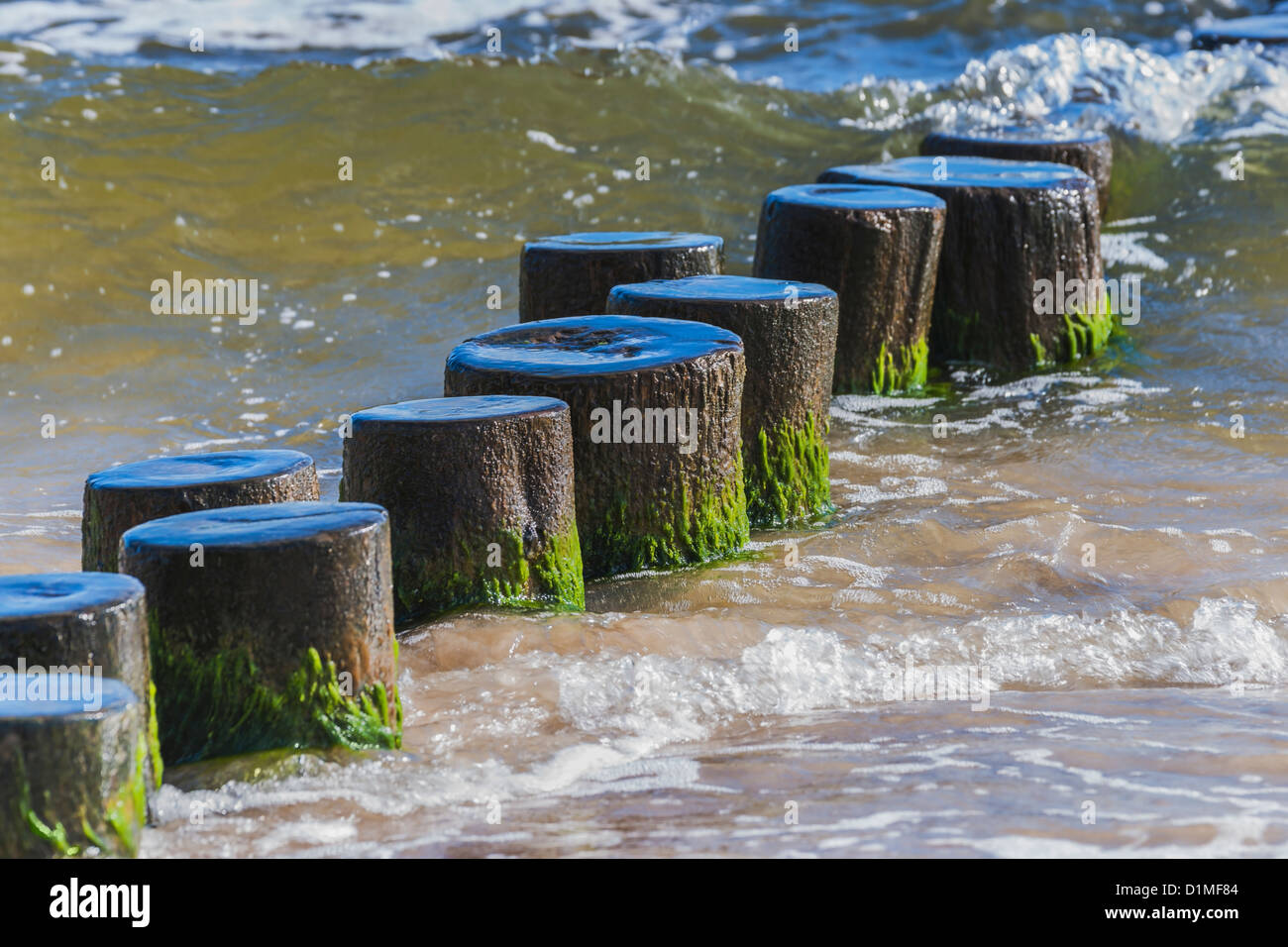 Groynes at the beach of the Baltic Sea. Groynes are intended to break ...