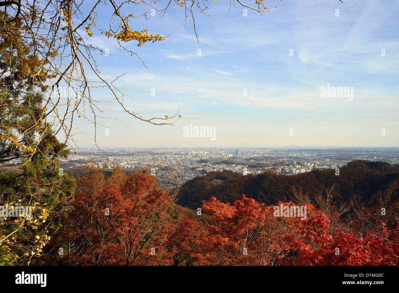 Tokyo seen from Mt. Takao Stock Photo - Alamy