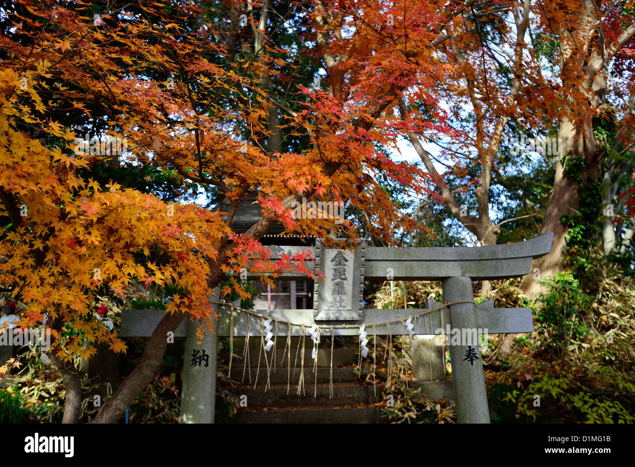 Japanese Shinto Shrine in Autumn Stock Photo - Alamy