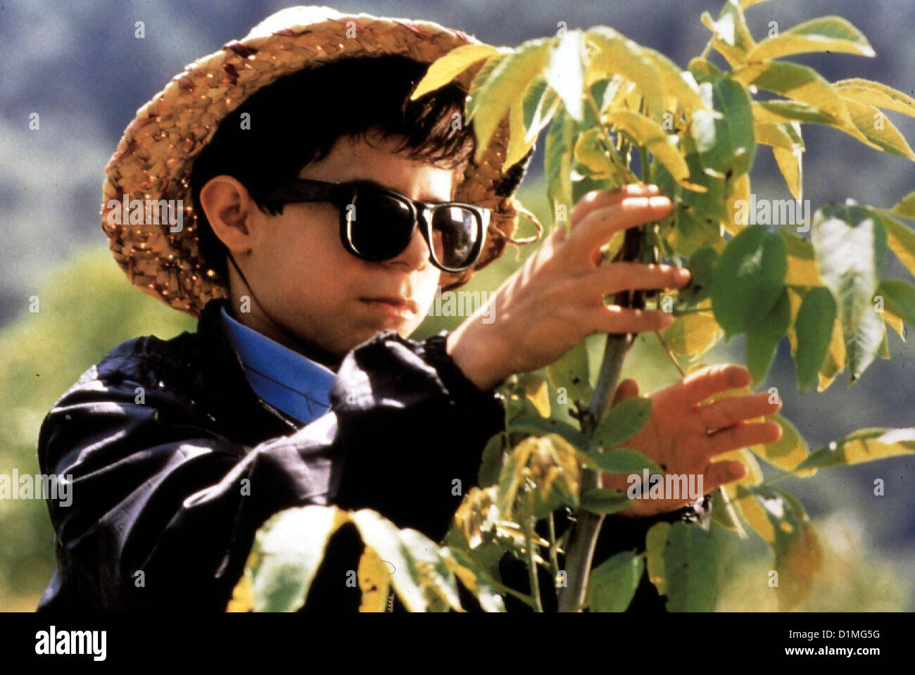 Die Farben Des Paradieses Colour Of Paradise, The Mohammad (Mohsen ...