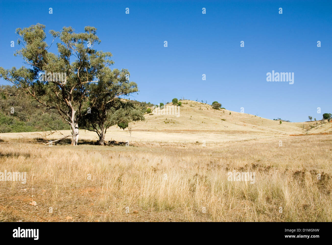 Mudgee australia hi-res stock photography and images - Alamy
