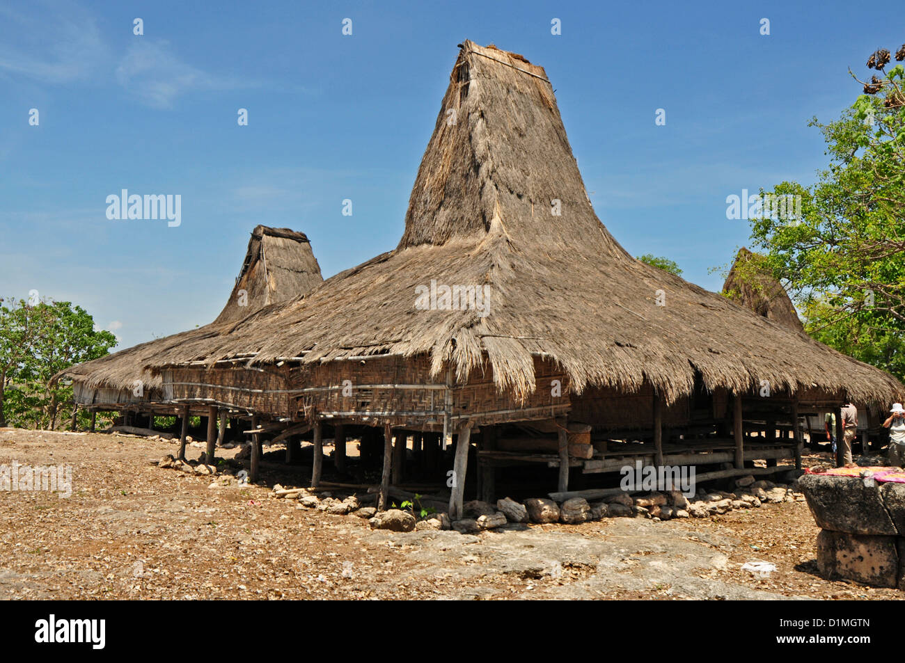 Sumba traditional architecture hi-res stock photography and images - Alamy