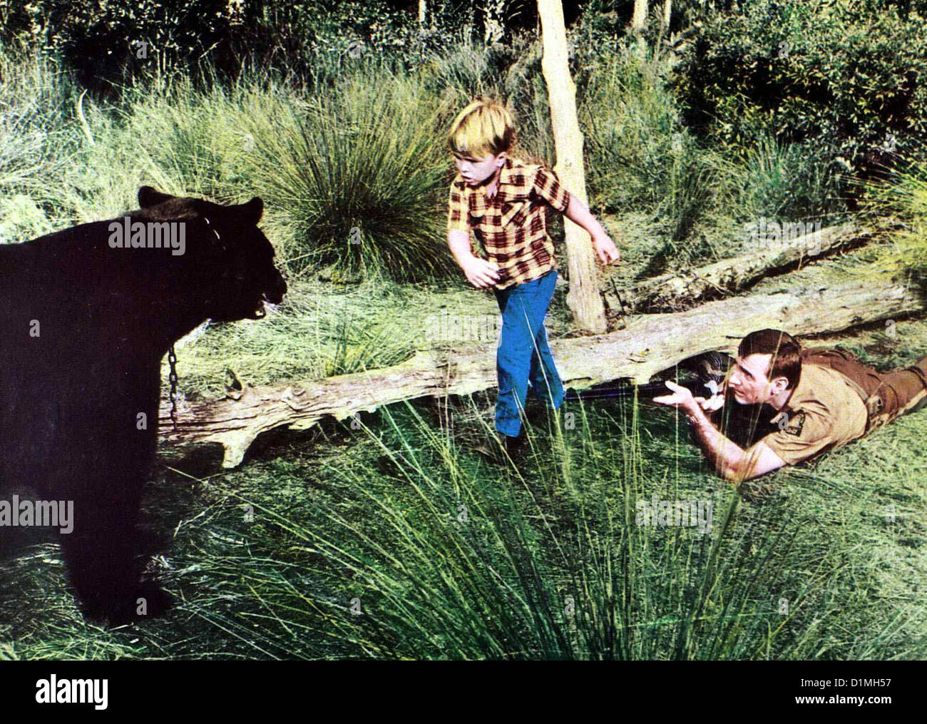 Gentle Ben Clint Howard