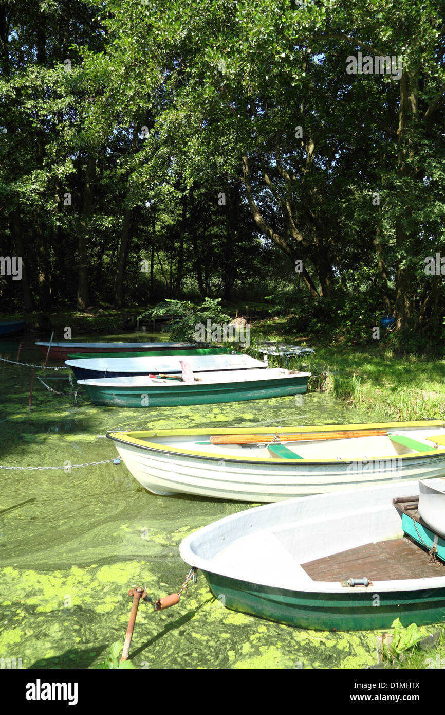 Grimnitz lake hi-res stock photography and images - Alamy