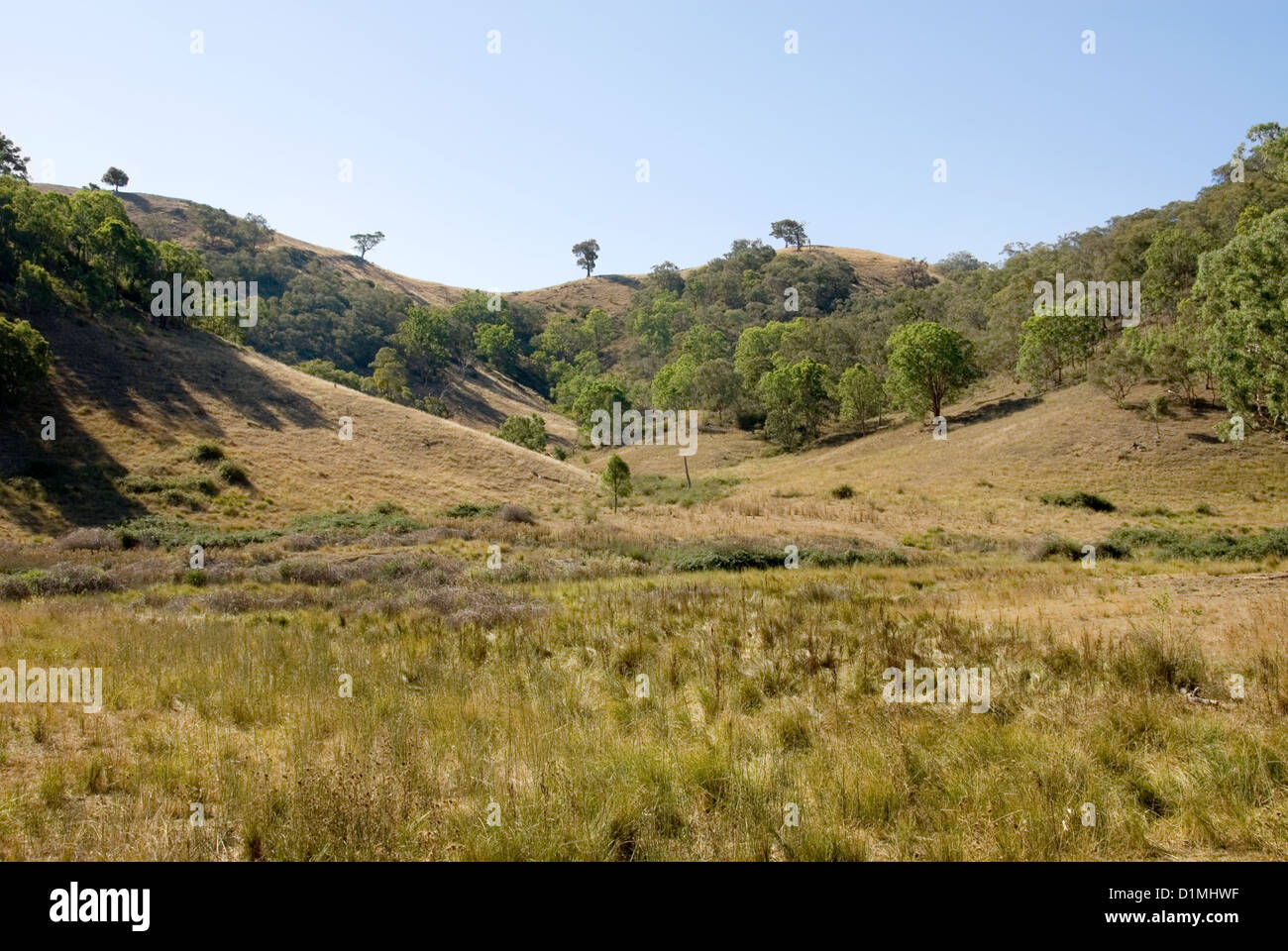A rural scene, near Mudgee, New South Wales, Australia Stock Photo - Alamy