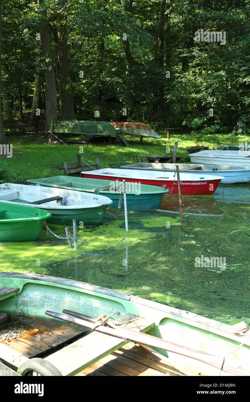 Rowing Boats at Lake Grimnitz in Brandenburg, Germany Stock Photo - Alamy