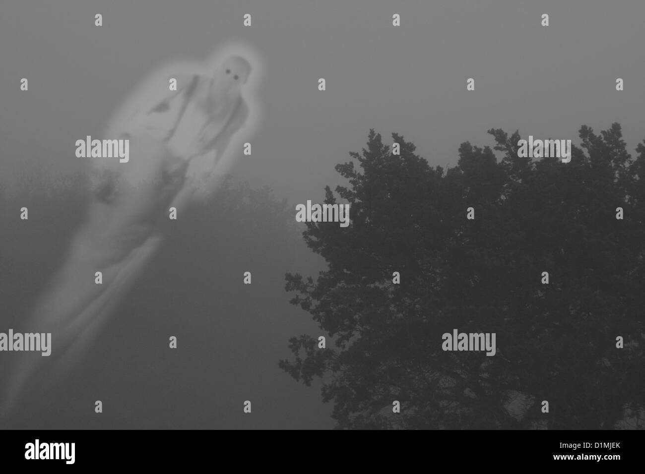 Ghost in Fog Stock Photo - Alamy