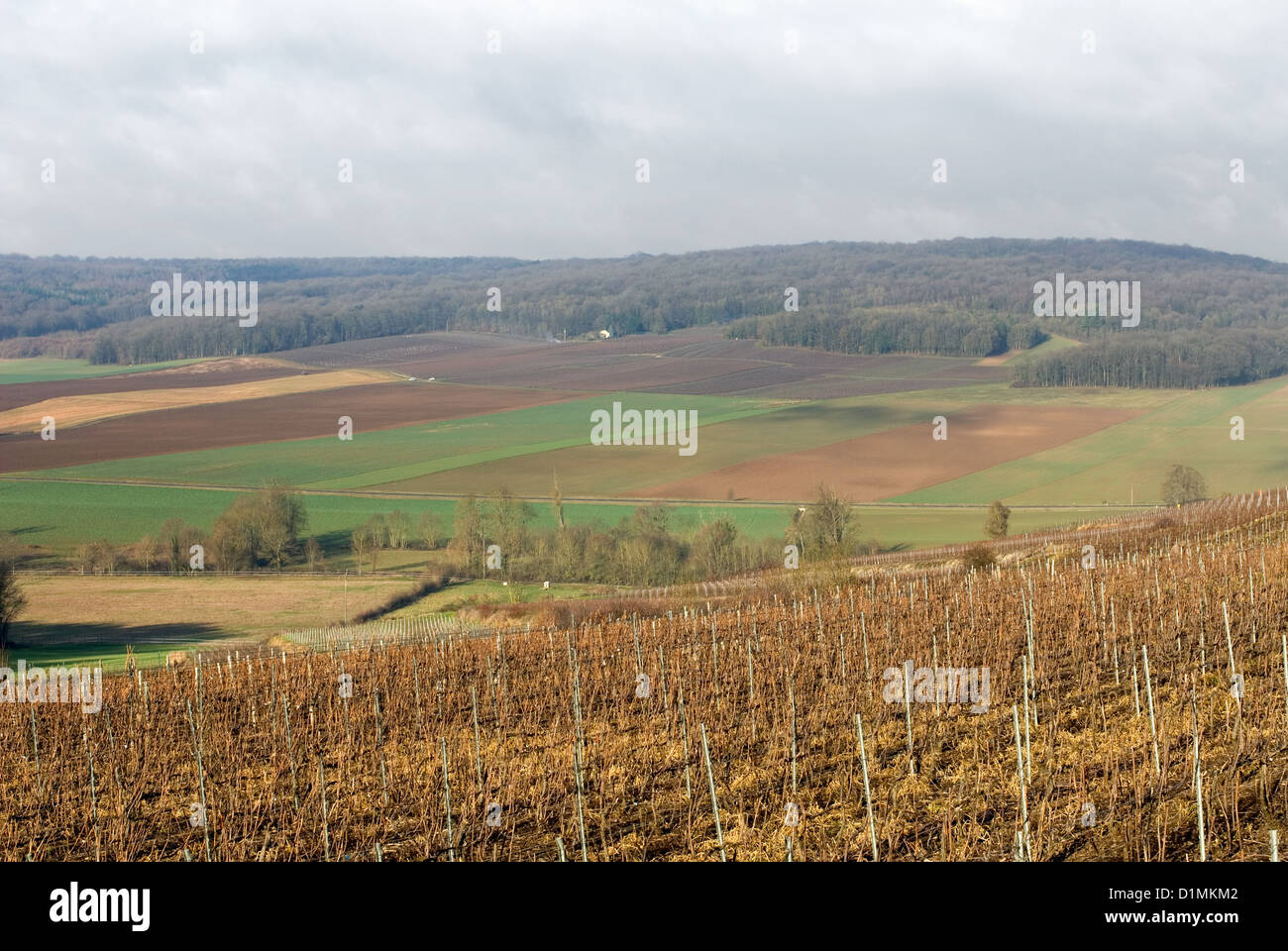 Champagne landscape winter hi-res stock photography and images - Alamy