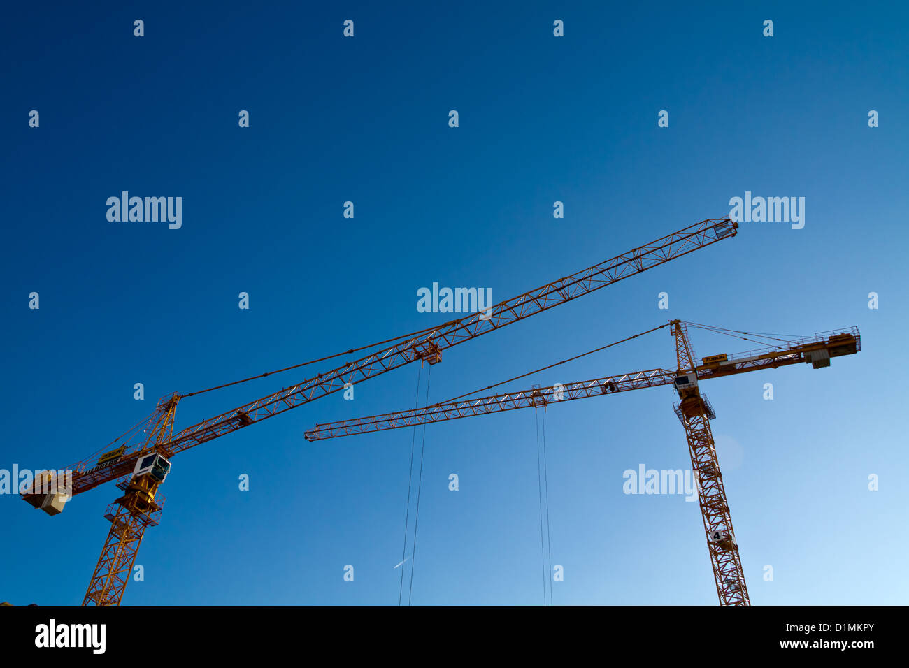 Cranes in Dresden, Germany Stock Photo - Alamy