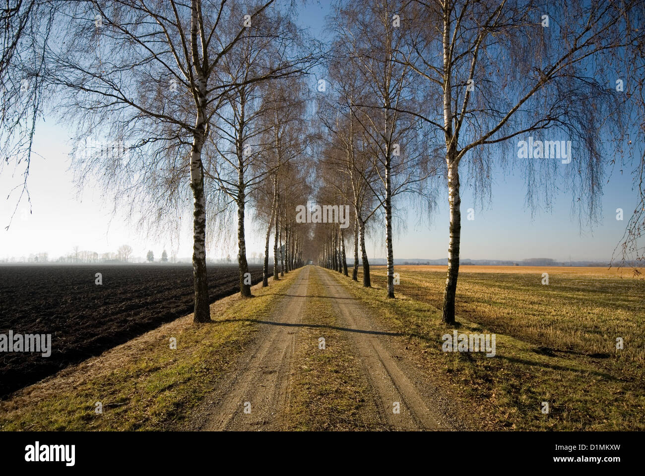 A country lane in farmland, Germany Stock Photo - Alamy