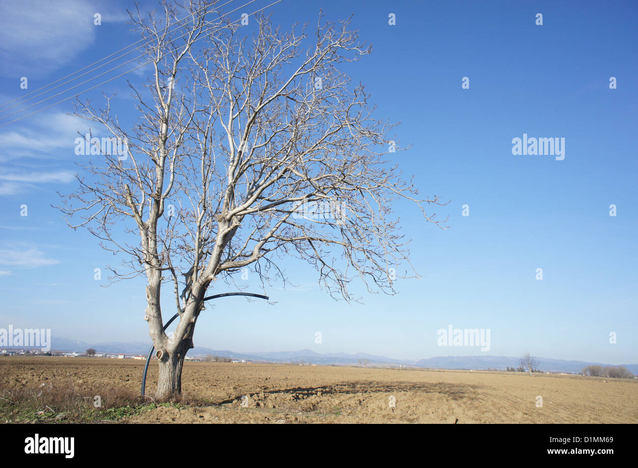 Thrace in winter, Greece Stock Photo - Alamy