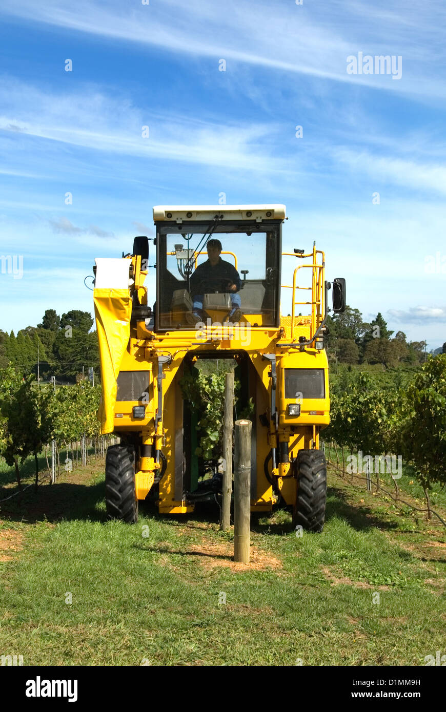 Grape harvester hi-res stock photography and images - Alamy