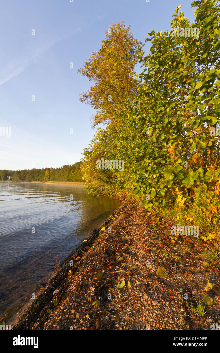 Lakeside in Brandenburg, Germany Stock Photo - Alamy