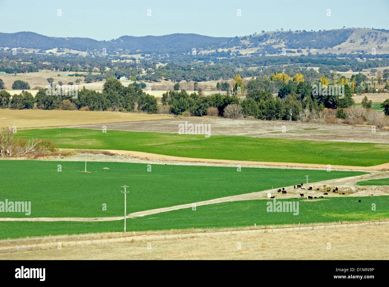 Irrigated Pasture High Resolution Stock Photography and Images - Alamy