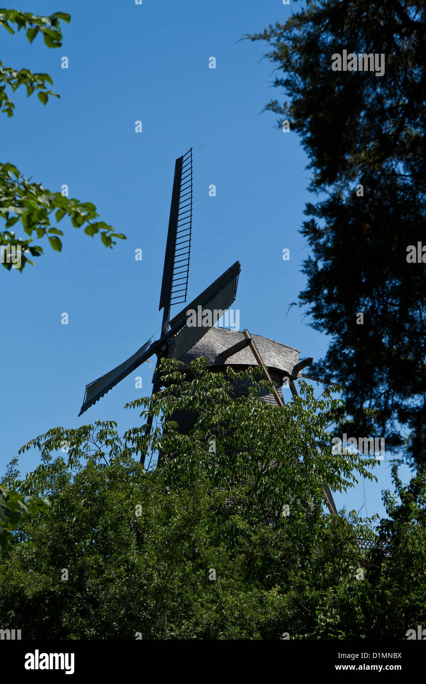 Old Windmill in Potsdam, Germany Stock Photo - Alamy