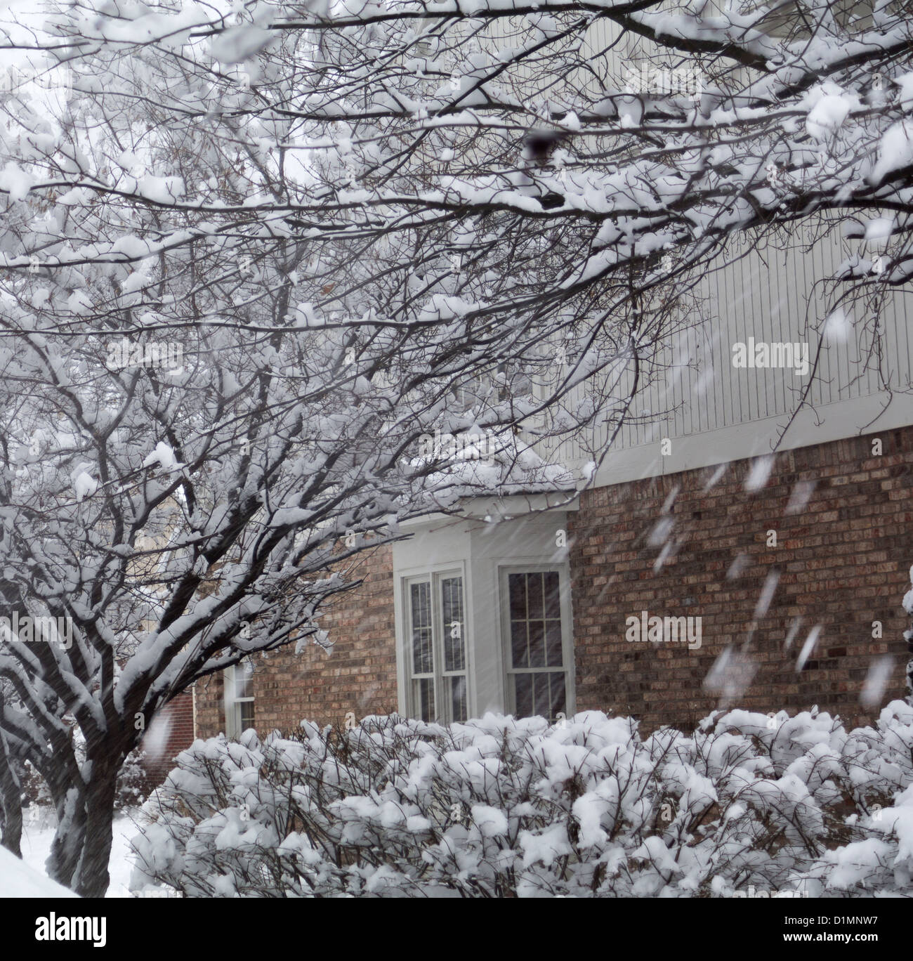 A blizzard swept the Midwest in December 2012. Falling snow is captured ...