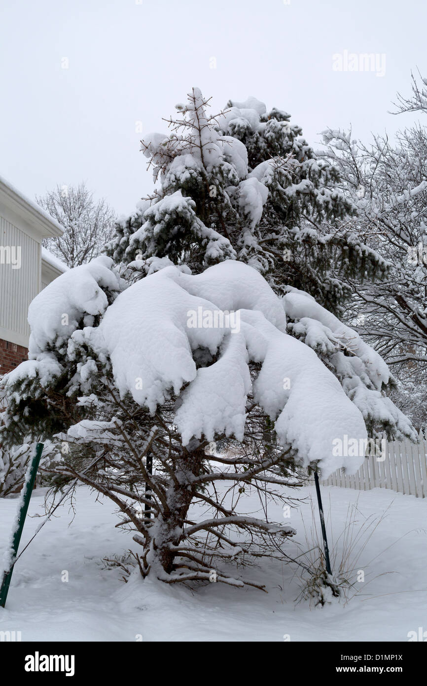 Leaning into blizzard hi-res stock photography and images - Alamy