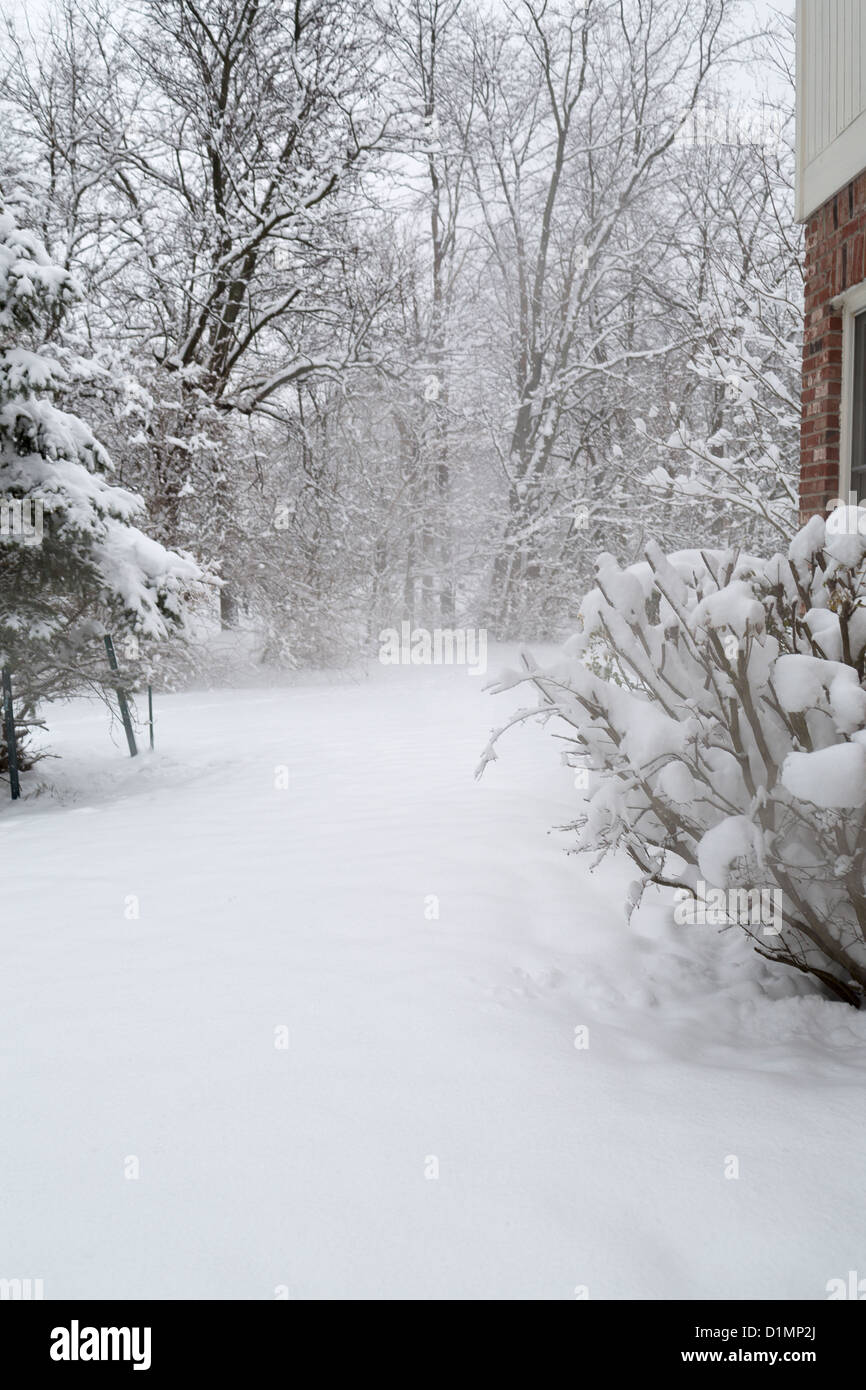 A blizzard sweeping the Midwest in December 2012. Falling snow on a ...