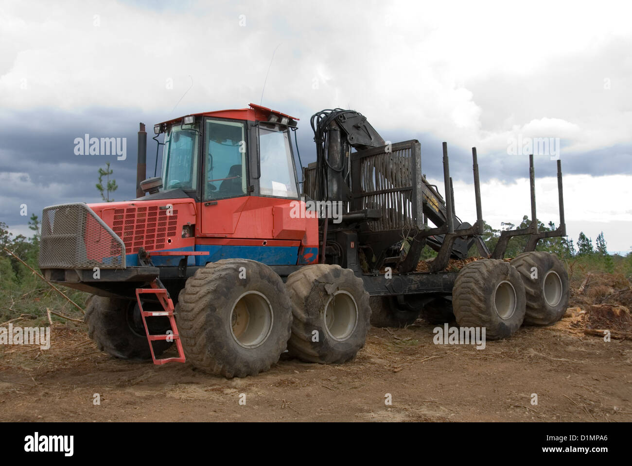 A log loader in a pine forest, near Oberon, New South Wales, Australia ...