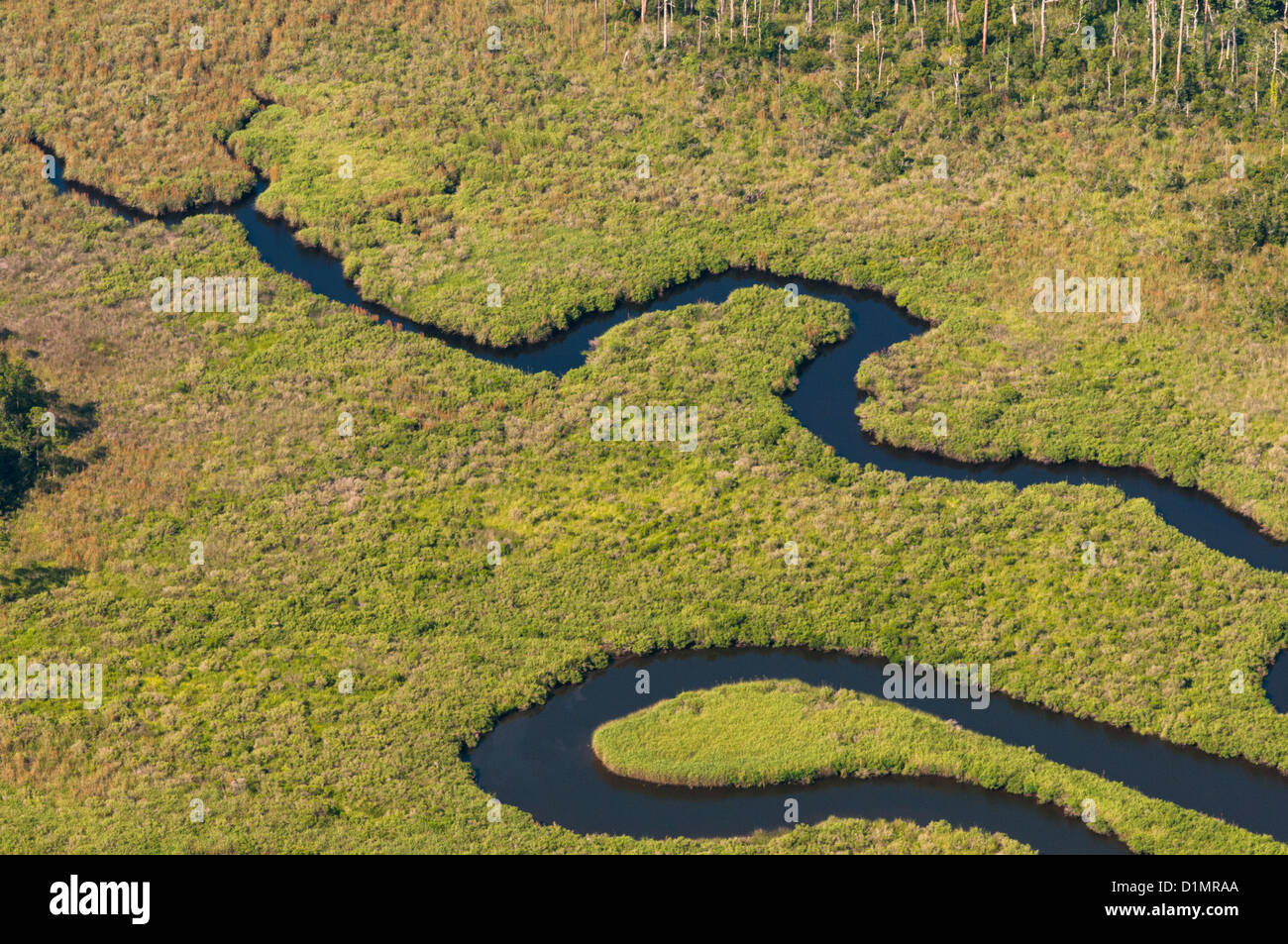 Wetland wetlands hi-res stock photography and images - Alamy