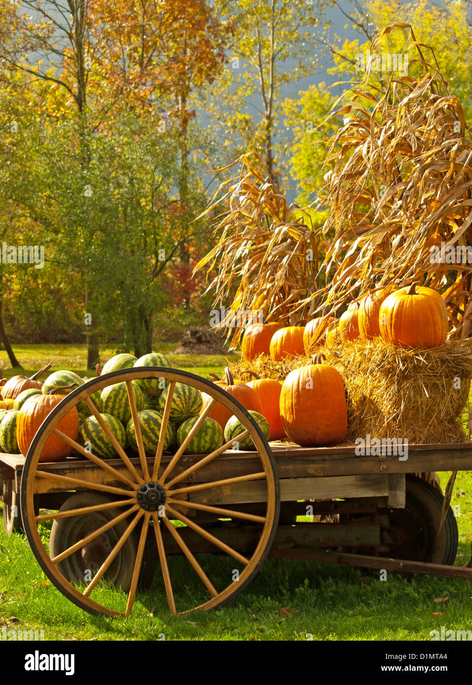pumpkins and watermelons on wooden cart in autumn Stock Photo - Alamy