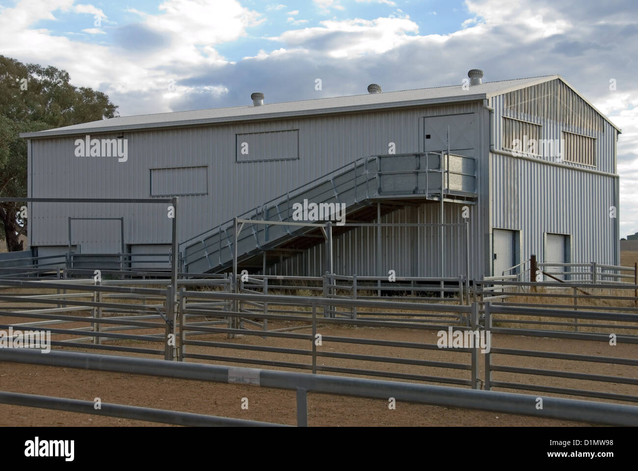 A shearing shed, and surrounding sheep yard, on a property in Central ...