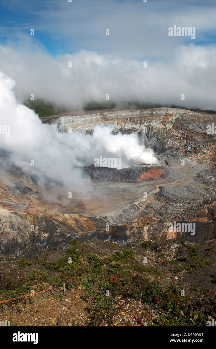 Sulfuric acid hi-res stock photography and images - Alamy
