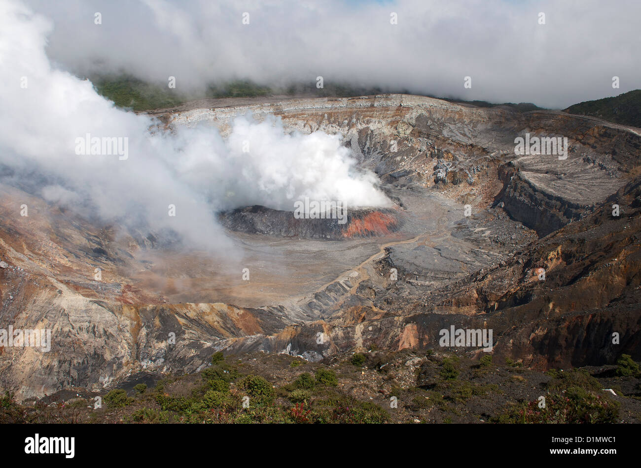 Sulfuric acid gas emission cloud rising from the active crater in Poás ...