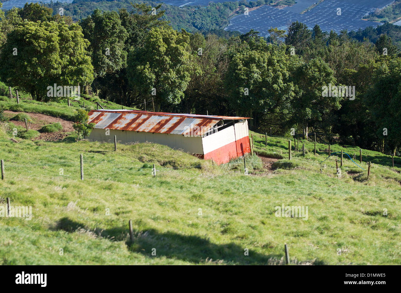 Rusted tin-roofed shack in grassy field, Alajuela, Costa Rica Stock ...