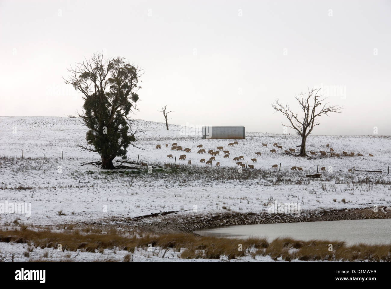 Southern tablelands new south wales hi-res stock photography and images ...