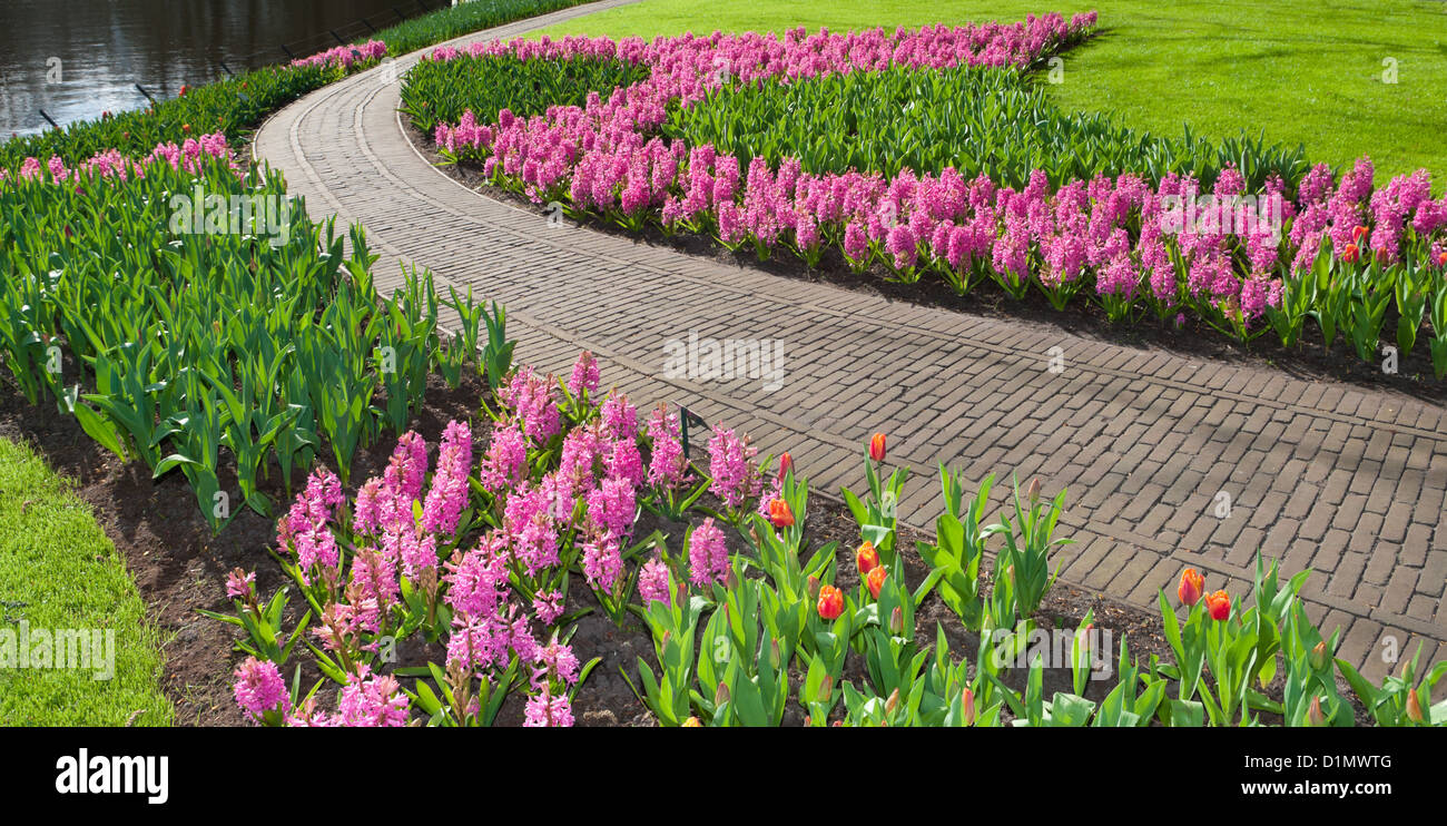 blooming flowers next to a footpath in a park Stock Photo - Alamy
