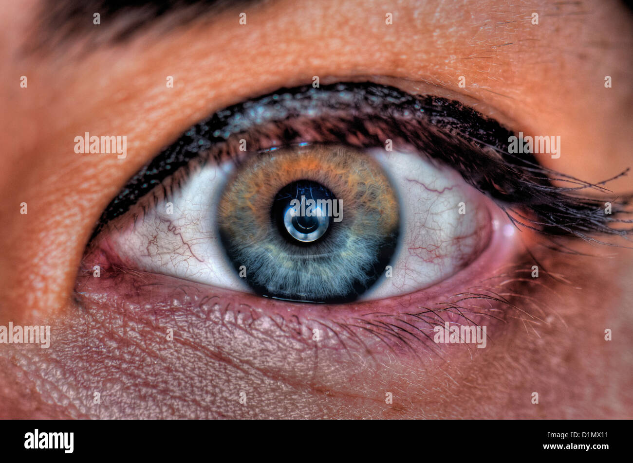 Extreme closeup of a human eye grey Stock Photo - Alamy