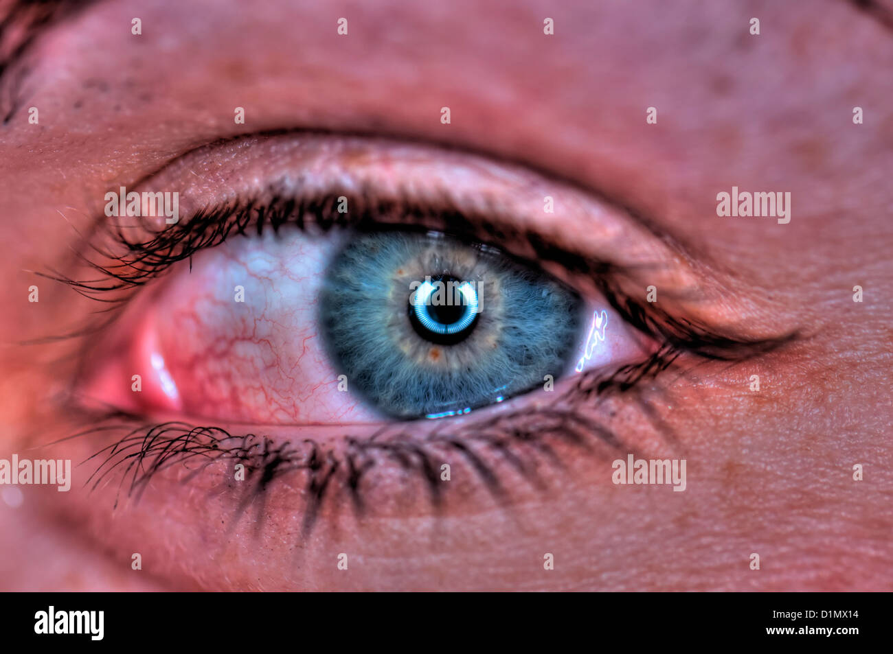 Extreme closeup of a human eye - blue Stock Photo - Alamy