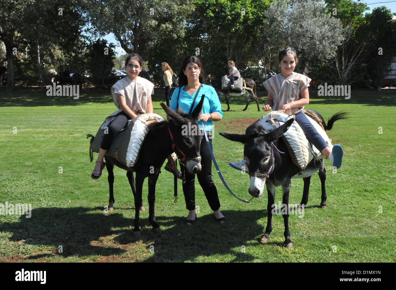 Children ride donkeys at a petting zoo Stock Photo - Alamy