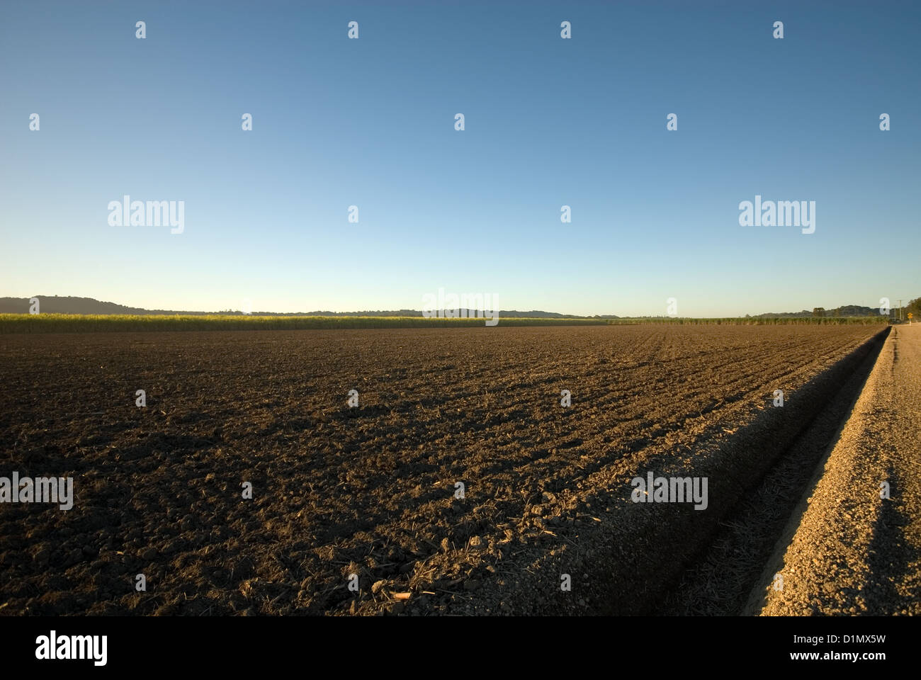 Sugar Cane Farm Stock Photo - Alamy