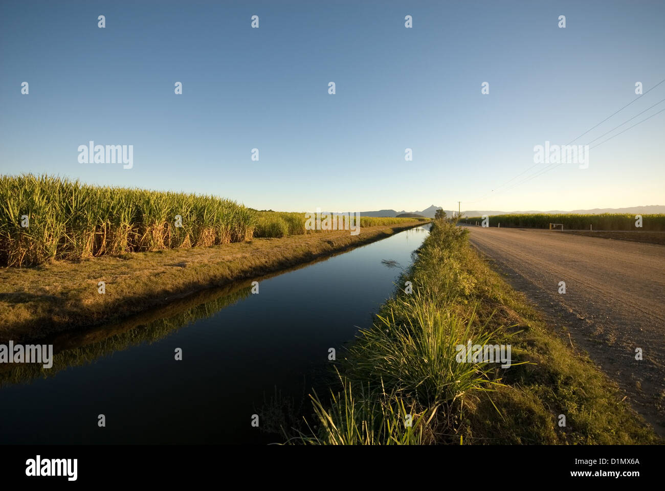 Irrigation sugarcane hi-res stock photography and images - Alamy