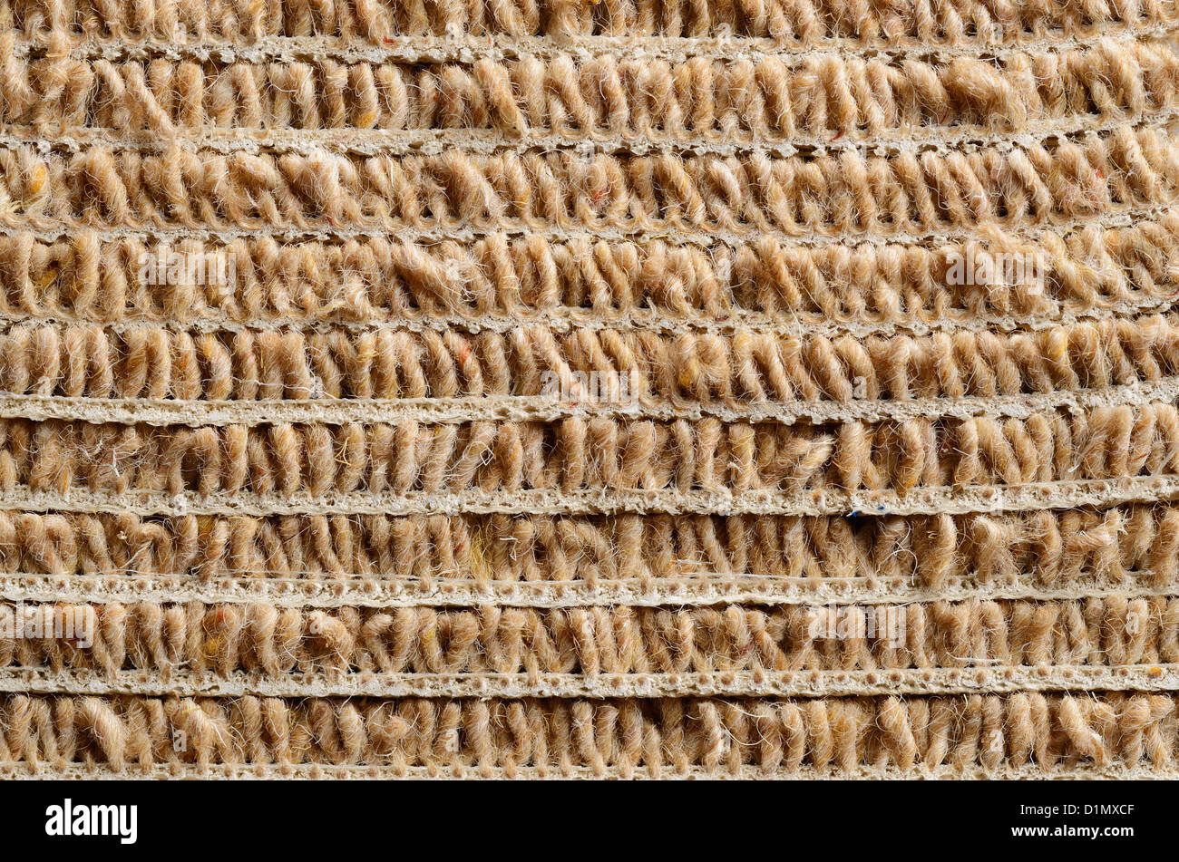 Cross section of a roll of beige carpet Stock Photo - Alamy