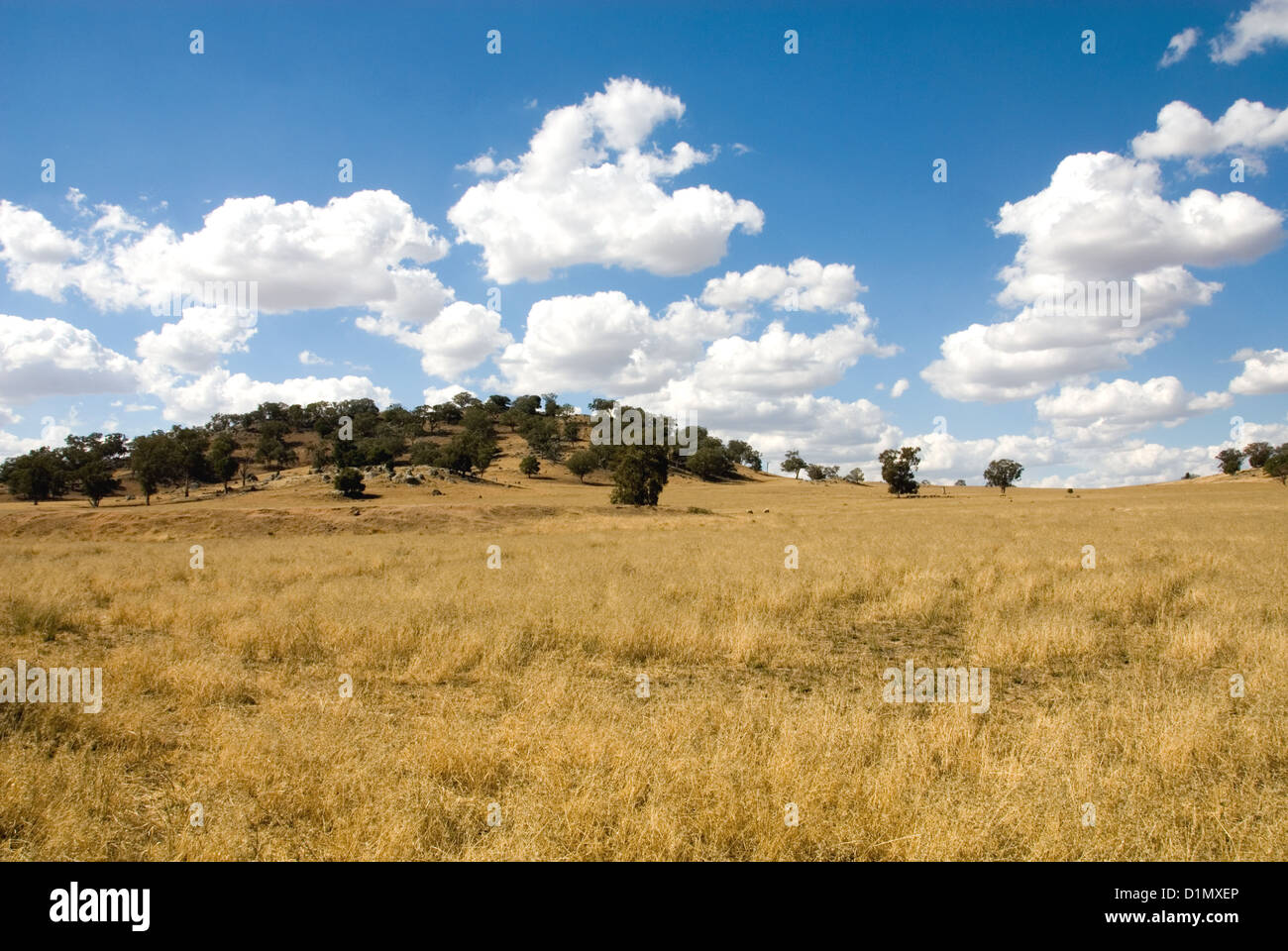 Parched land drought australia hi-res stock photography and images - Alamy