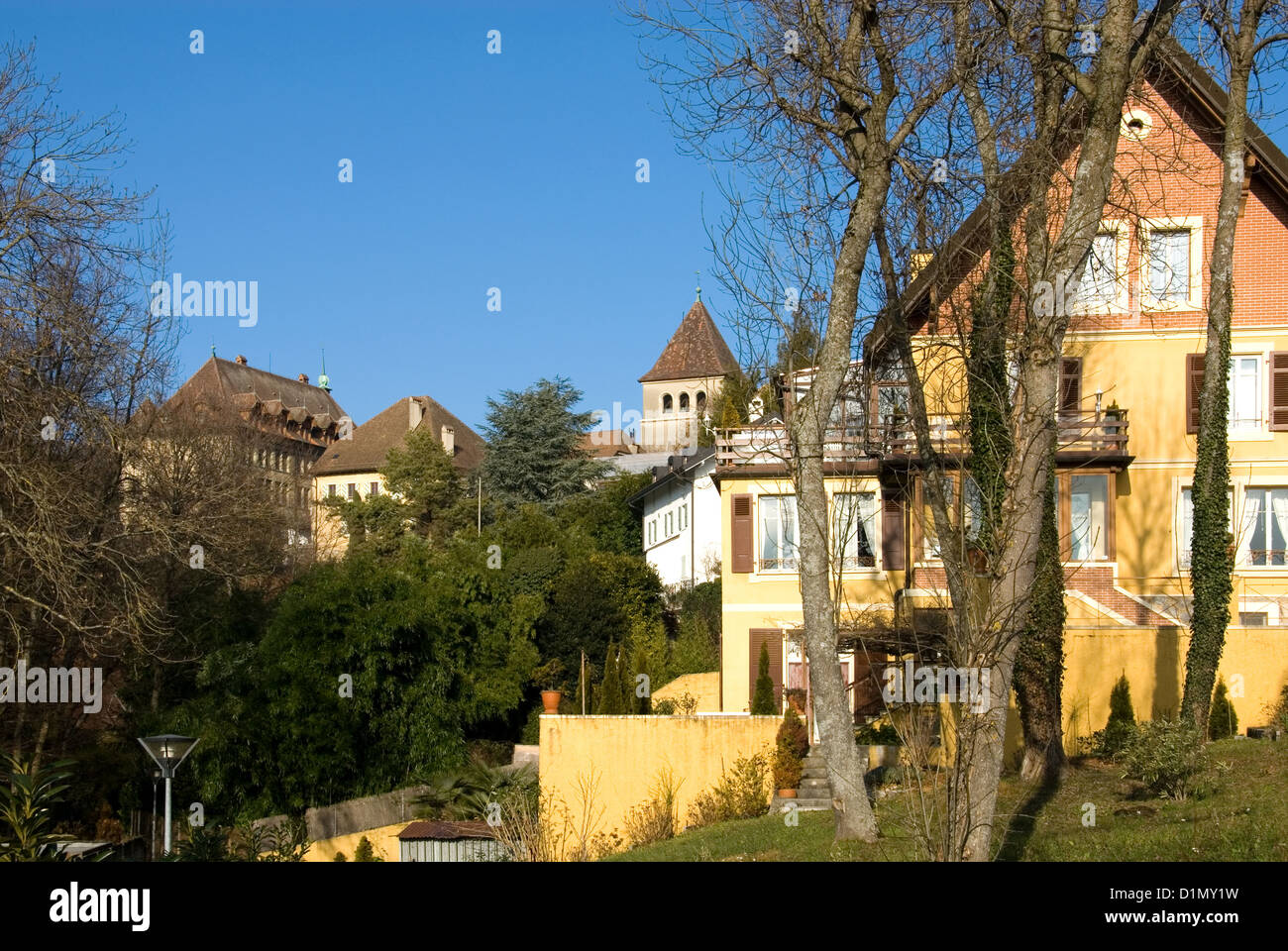 Street view with trees hi-res stock photography and images - Alamy