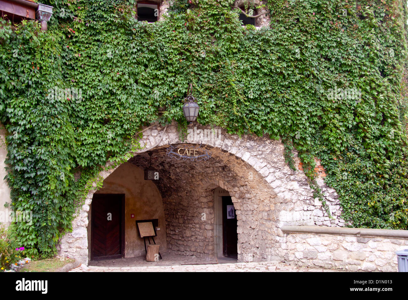 Bush wall in Palace Pieskowa Skala - Poland, Europe Stock Photo - Alamy
